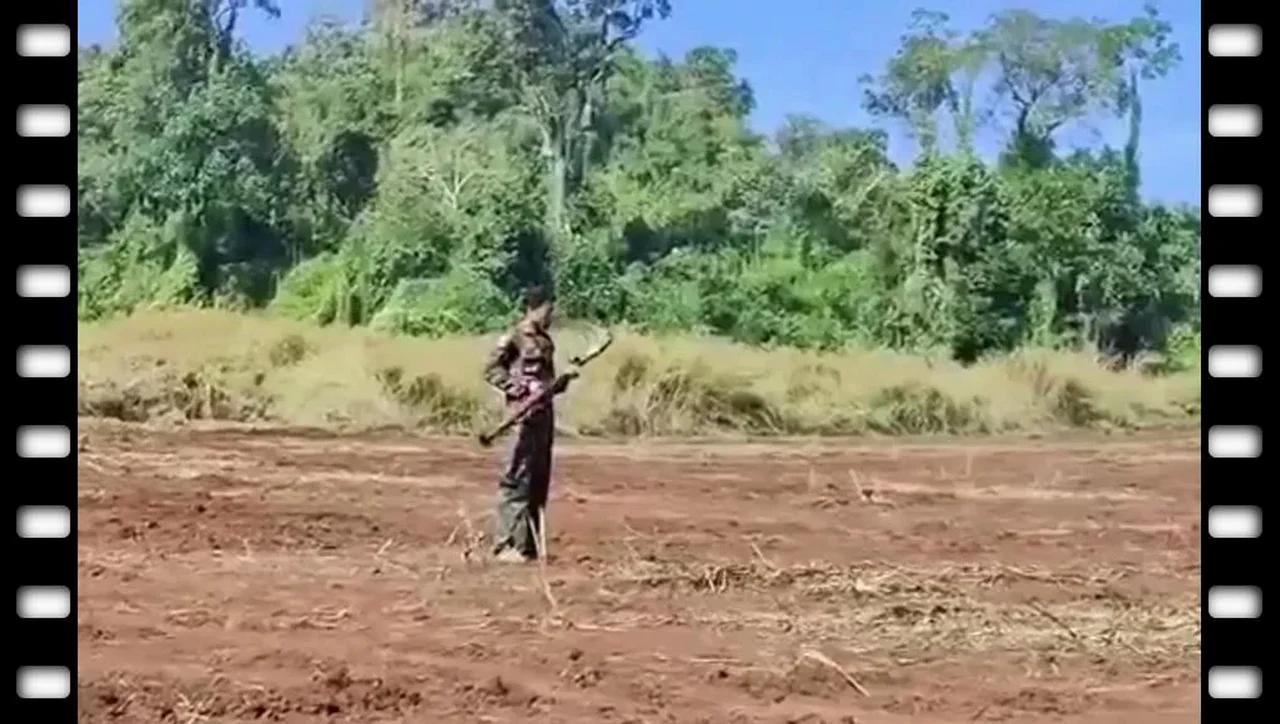 Don’t order rocket launchers off Temu
