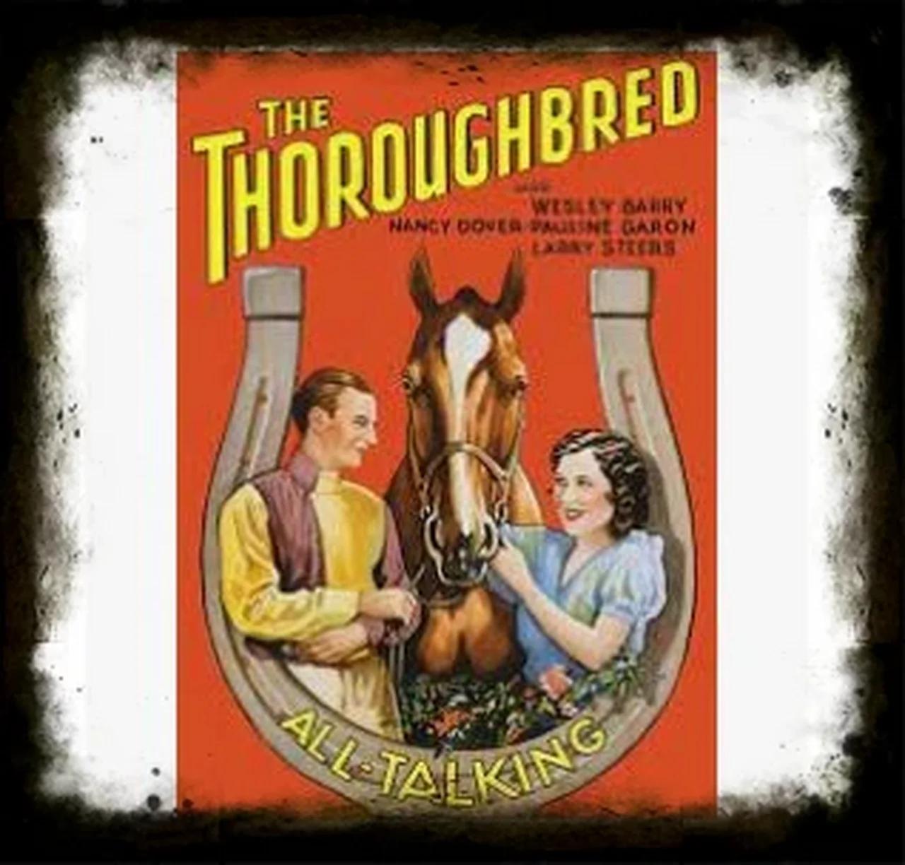 The Thoroughbred 1930 Classic B Movies Vintage Full Movies