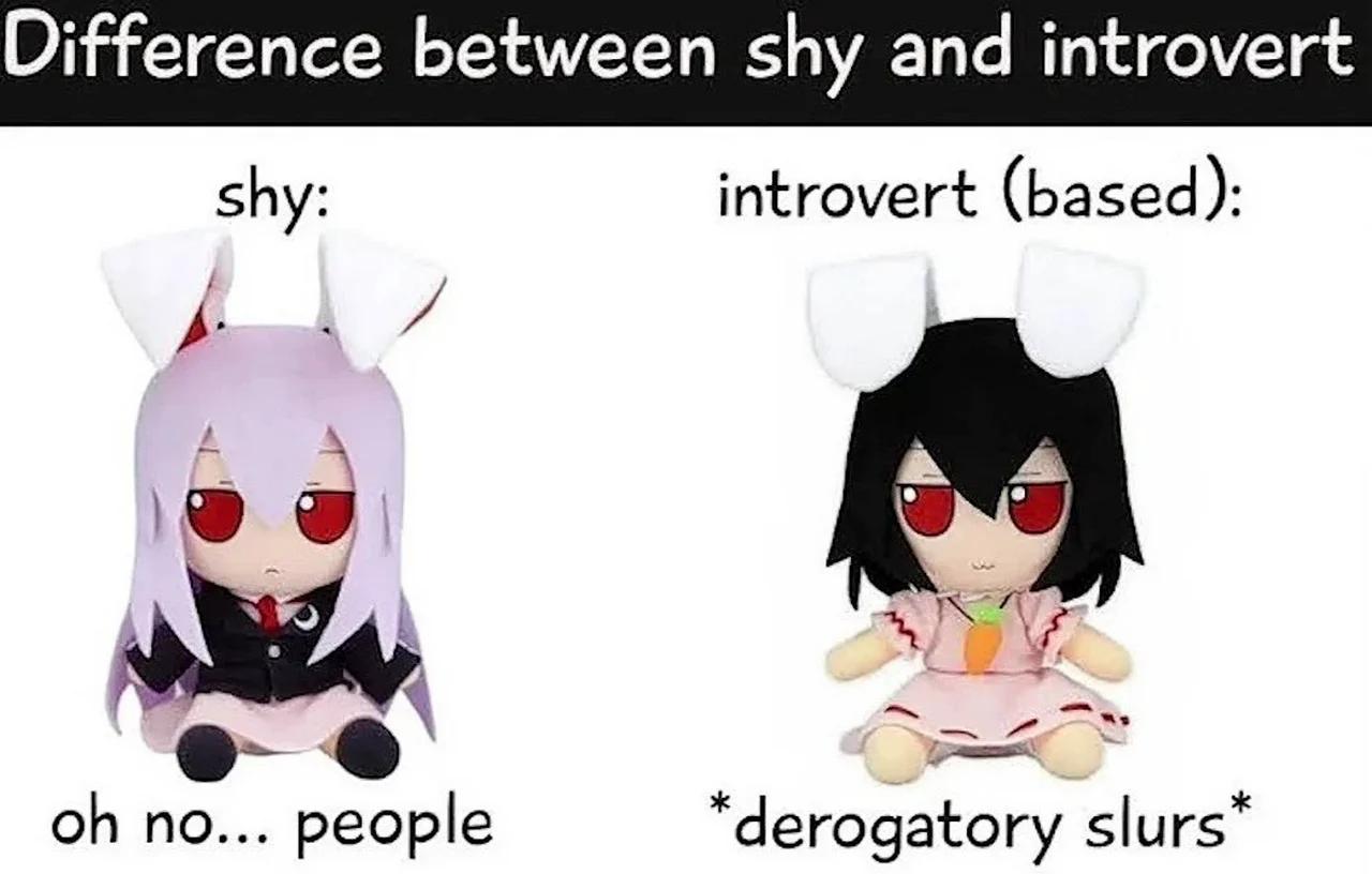 Difference between shy and introvert