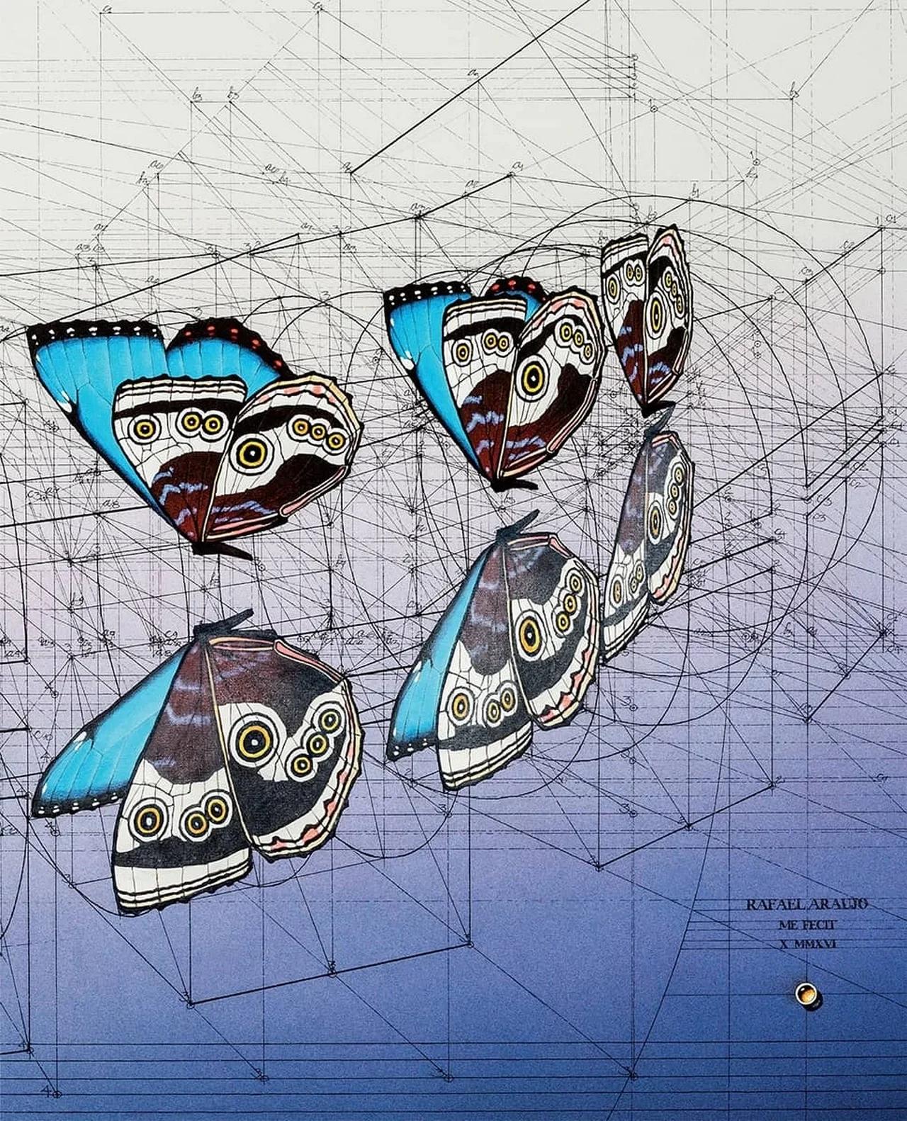 Freispruch-fuer-Hitler-Gerd-Honsik-1988-233-S