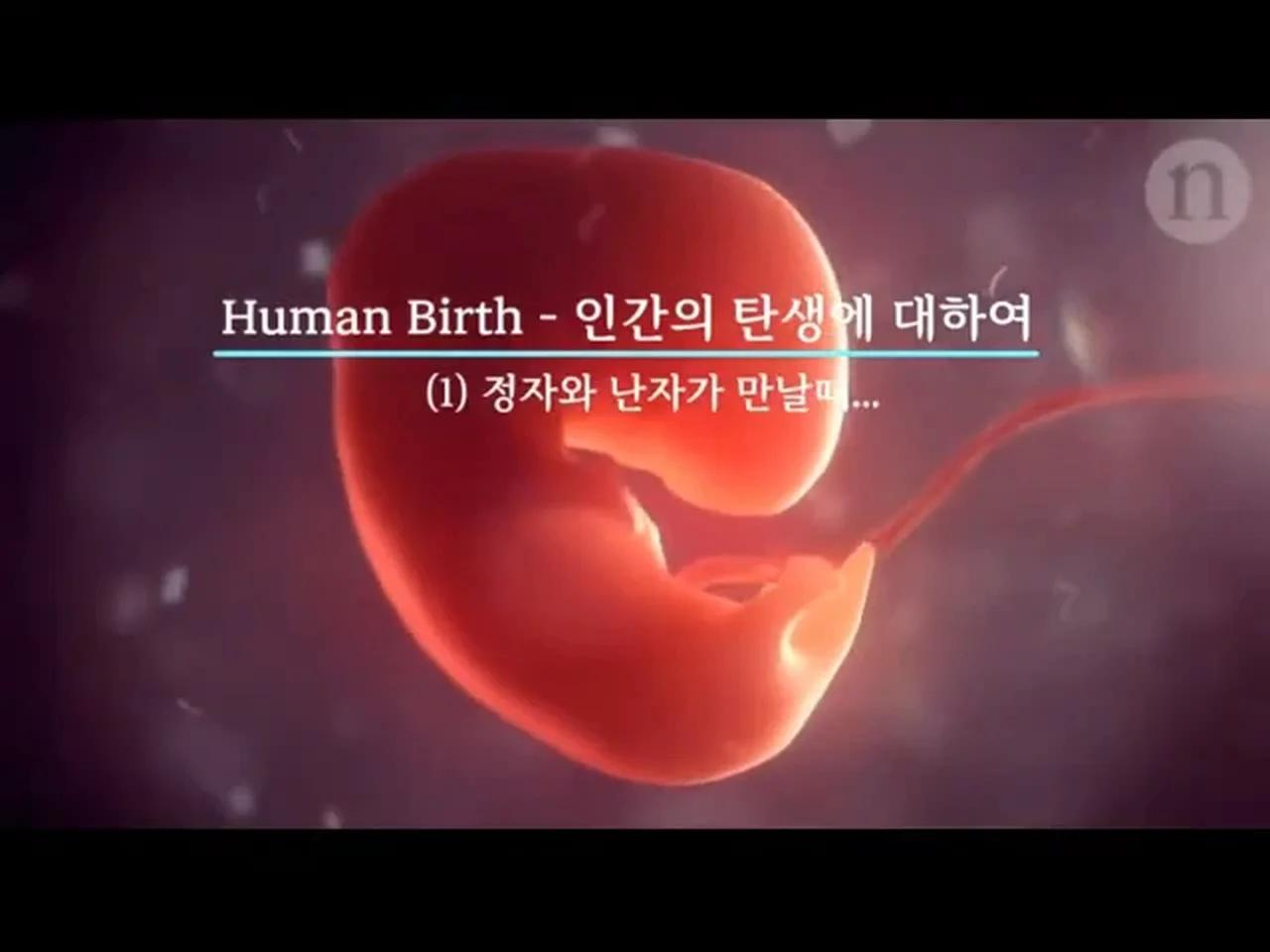 8) Earth History - Origins - Human Birth