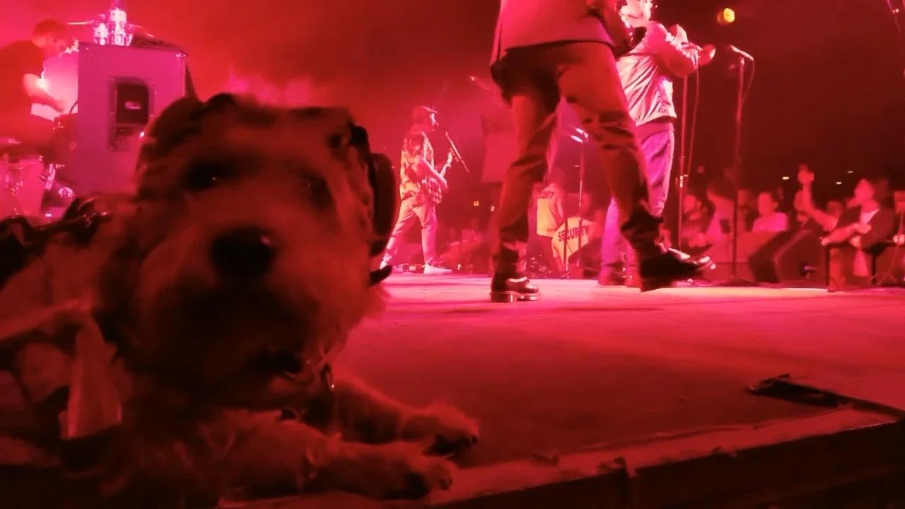 Reel Big Fish “Pissed Off”