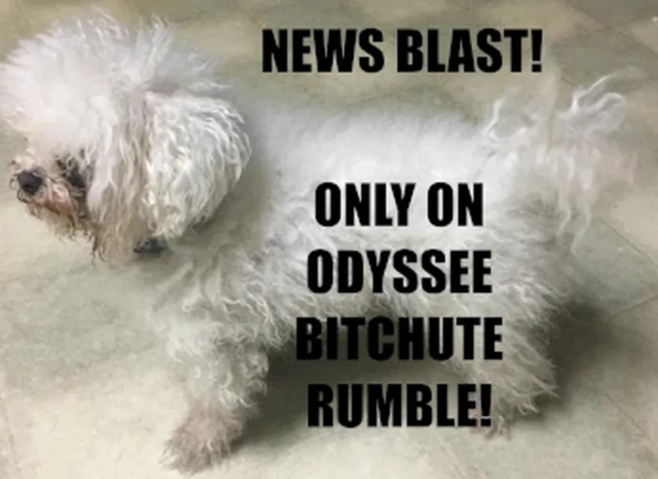 Odysee/Bitchute/Rumble Exclusive Hot Take News Blast! May 25th 2025