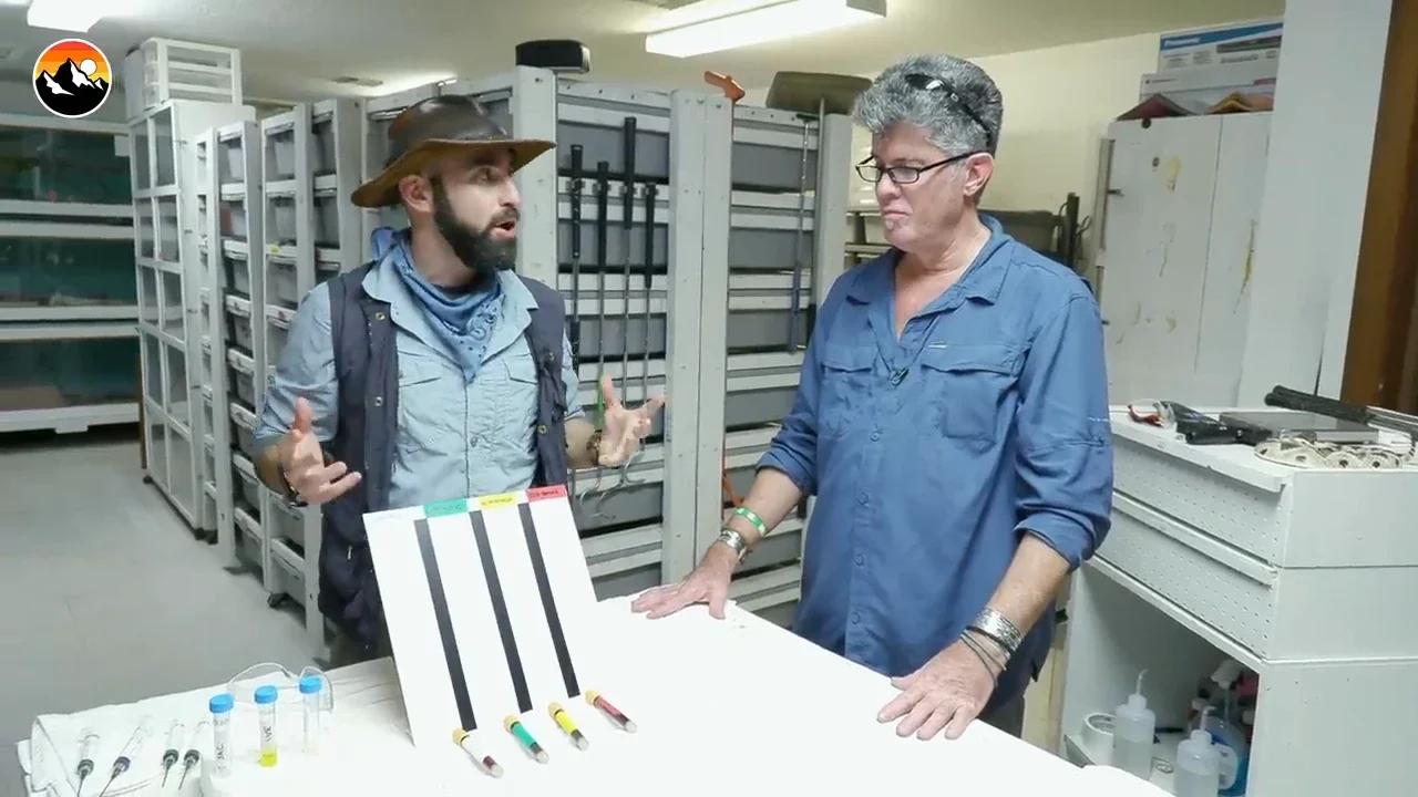 Human Blood Combined With Snake Venom, What Will Happen?