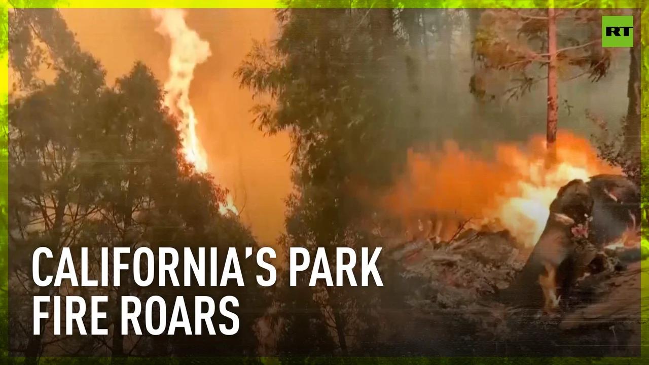 Northern California’s Park Fire reawakens