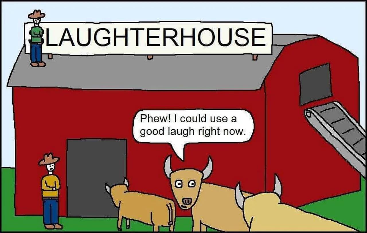 Laughterhouse 5 Saturday
