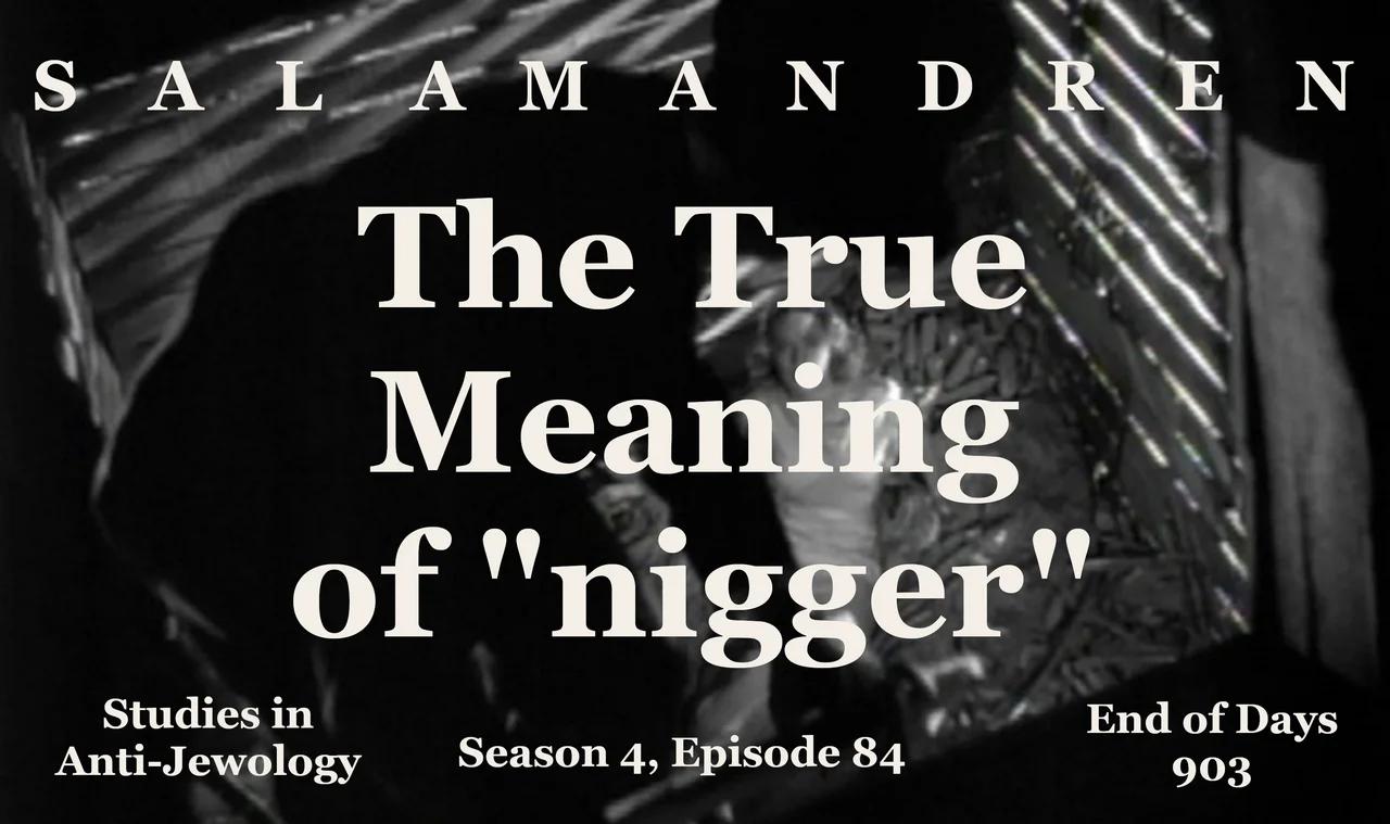 The True Meaning of "nigger" (Studies in Anti-Jewology)