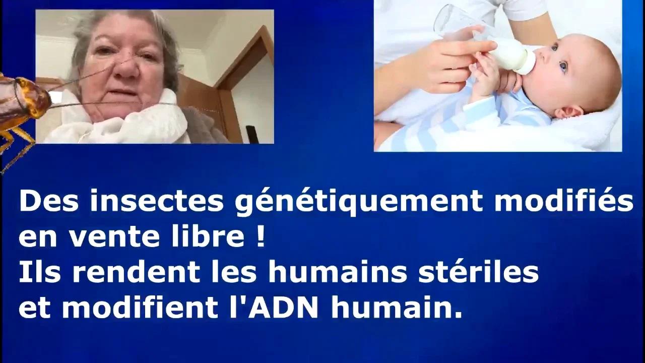 Docteur Dorothea Thul - L'ADN des insectes génétiquement modifiés se ...