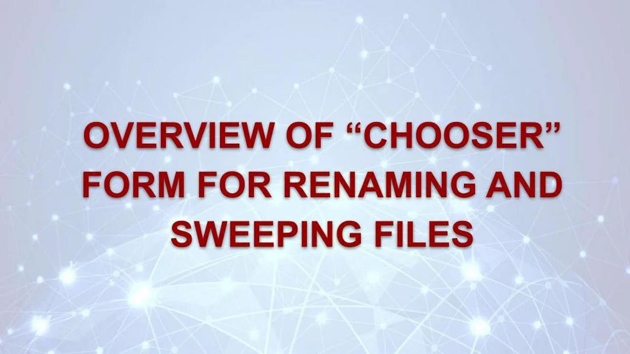 OVERVIEW OF “CHOOSER” FORM FOR RENAMING AND SWEEPING FILES