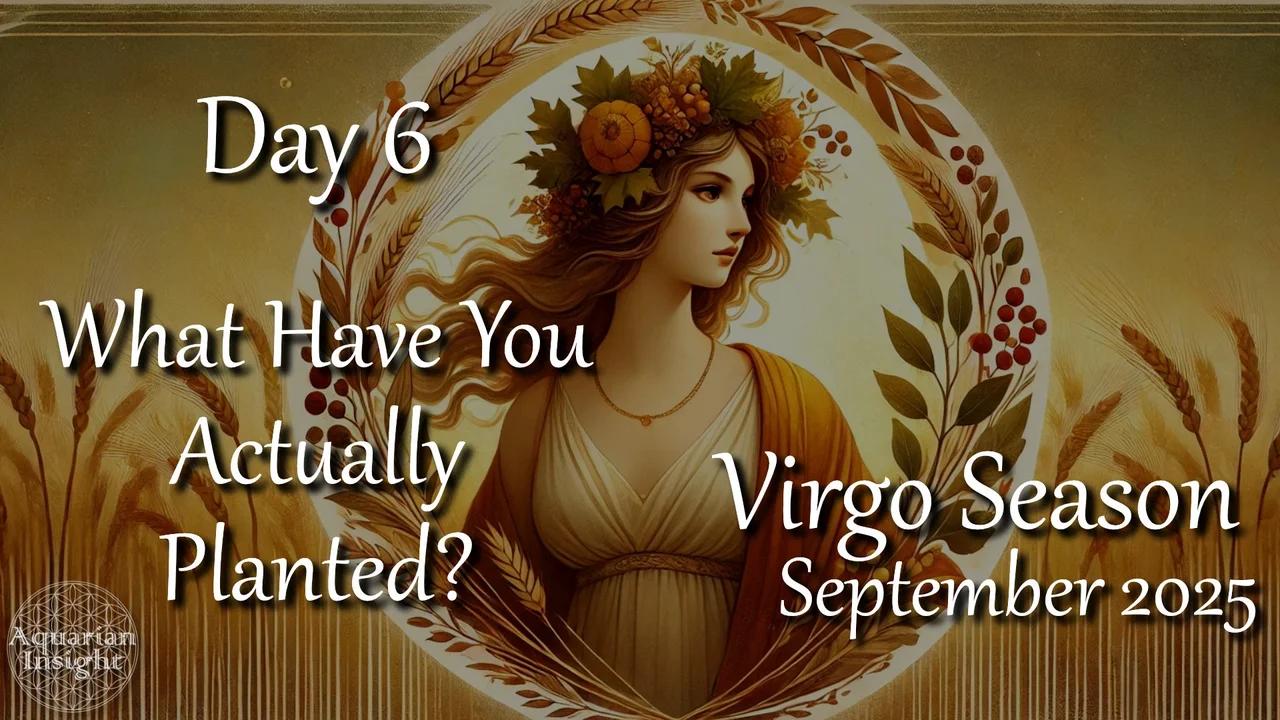 Day 6 - What Have You Actually Planted? - Virgo Season Daily Reading