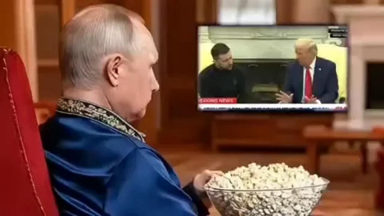 😂🍿Trump VS Coco Zelensky