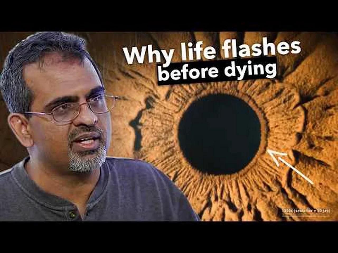 🔴⚠🔴The Truth about The Flash Before Death - MIT Scientist Discovers ...