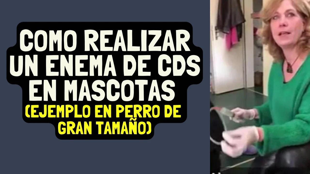 Protocolo de Enemas de CDS en Mascotas (Ejemplo con un Perro Grande)