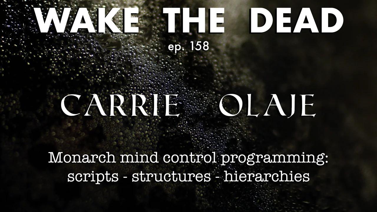Sean McCann - WTD ep.158 Carrie Olaje 'Monarch mind control programming ...