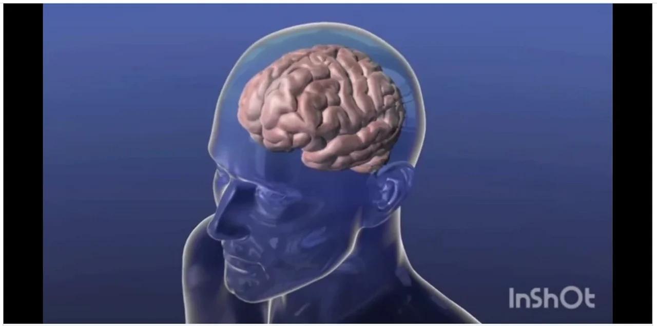 Visible Light Communication And Optogenetics 5g 6g 7g Smart City