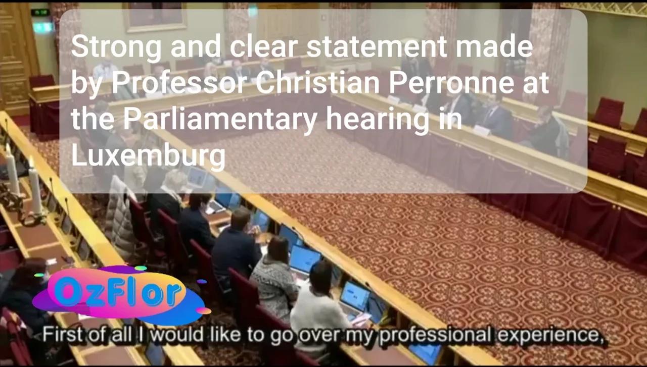 Professor Christian Perronne at the Parliamentary hearing in Luxemburg