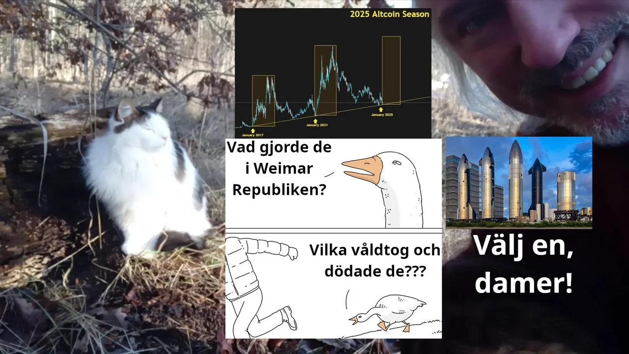 Sparka alla statliga chefer utom 3! Dumma råd rätt? Råd till sionister ...