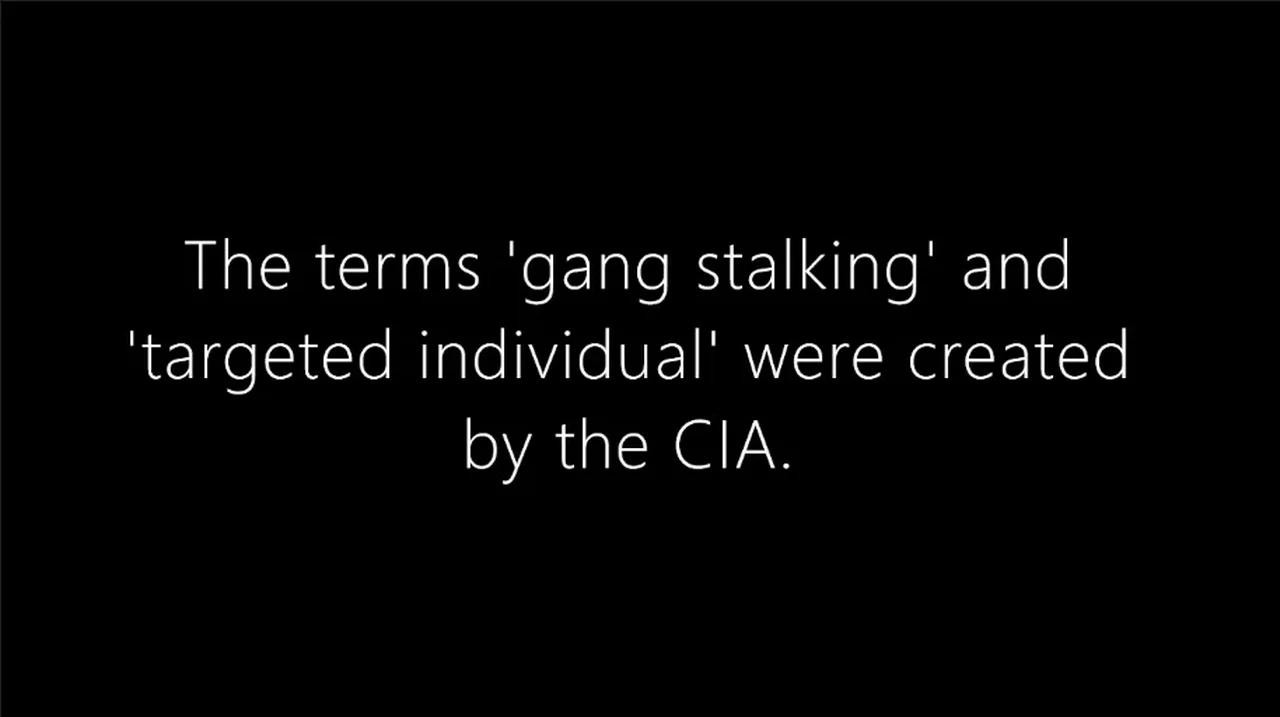 The CIA Created the Terms 'Gang Stalking' and 'Targeted Individual'