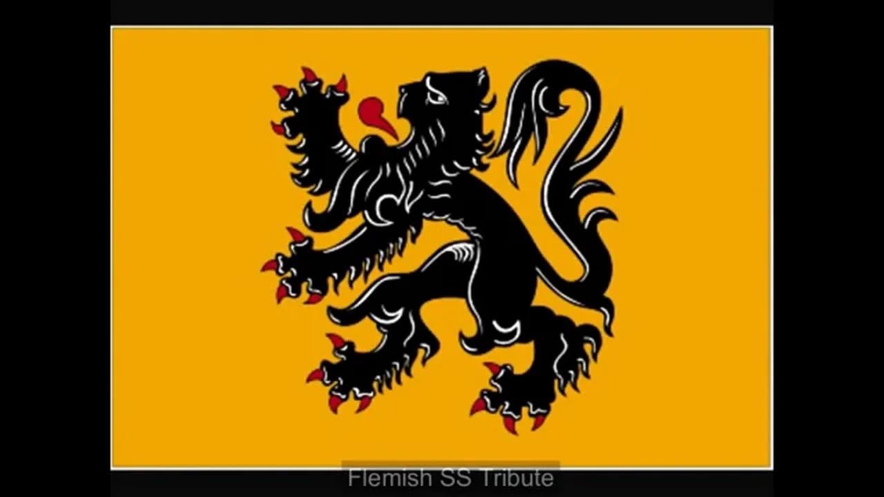 Flemish SS