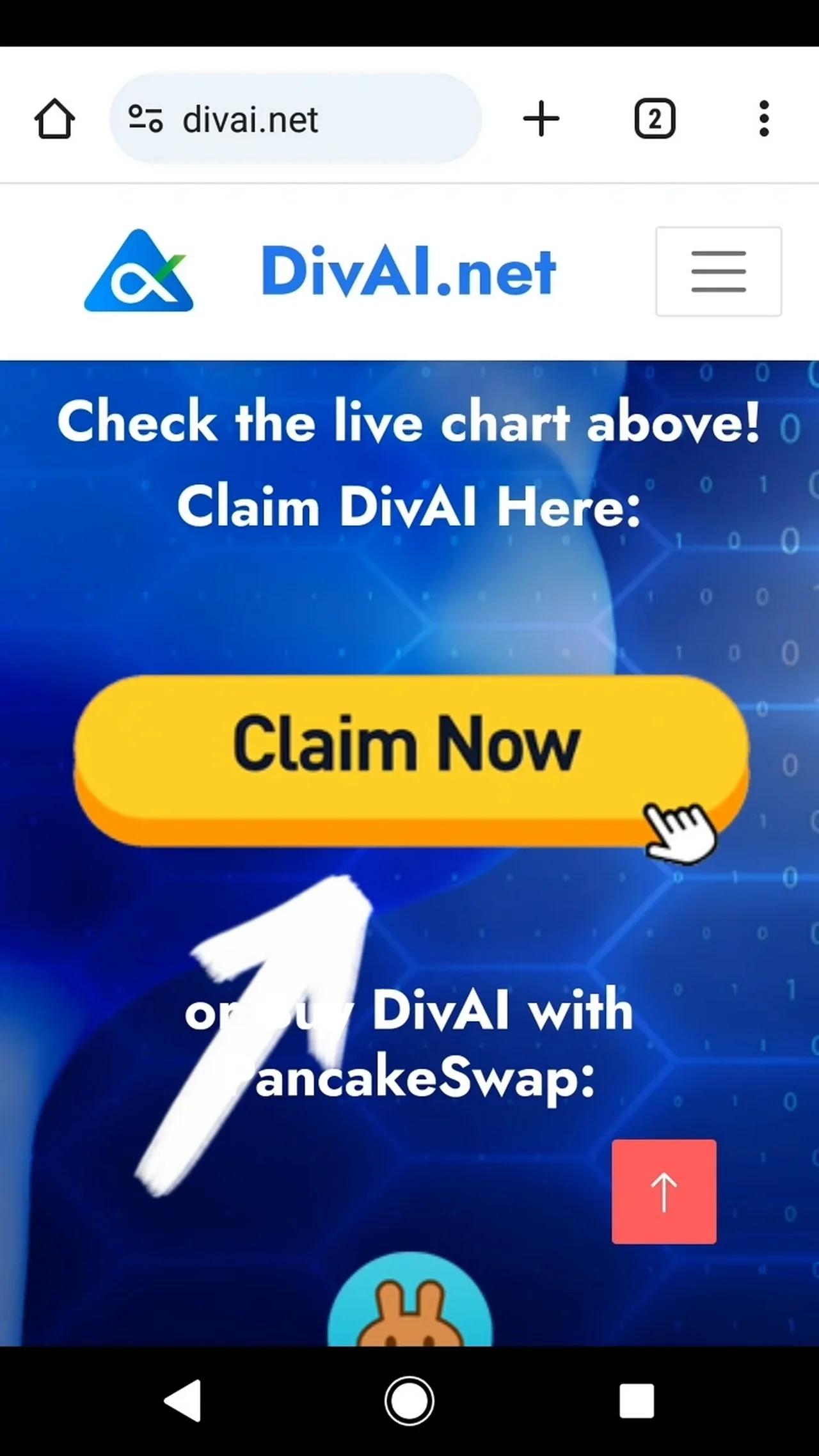 Claim Your Divai Tokens on BNB: A Quick Walkthrough