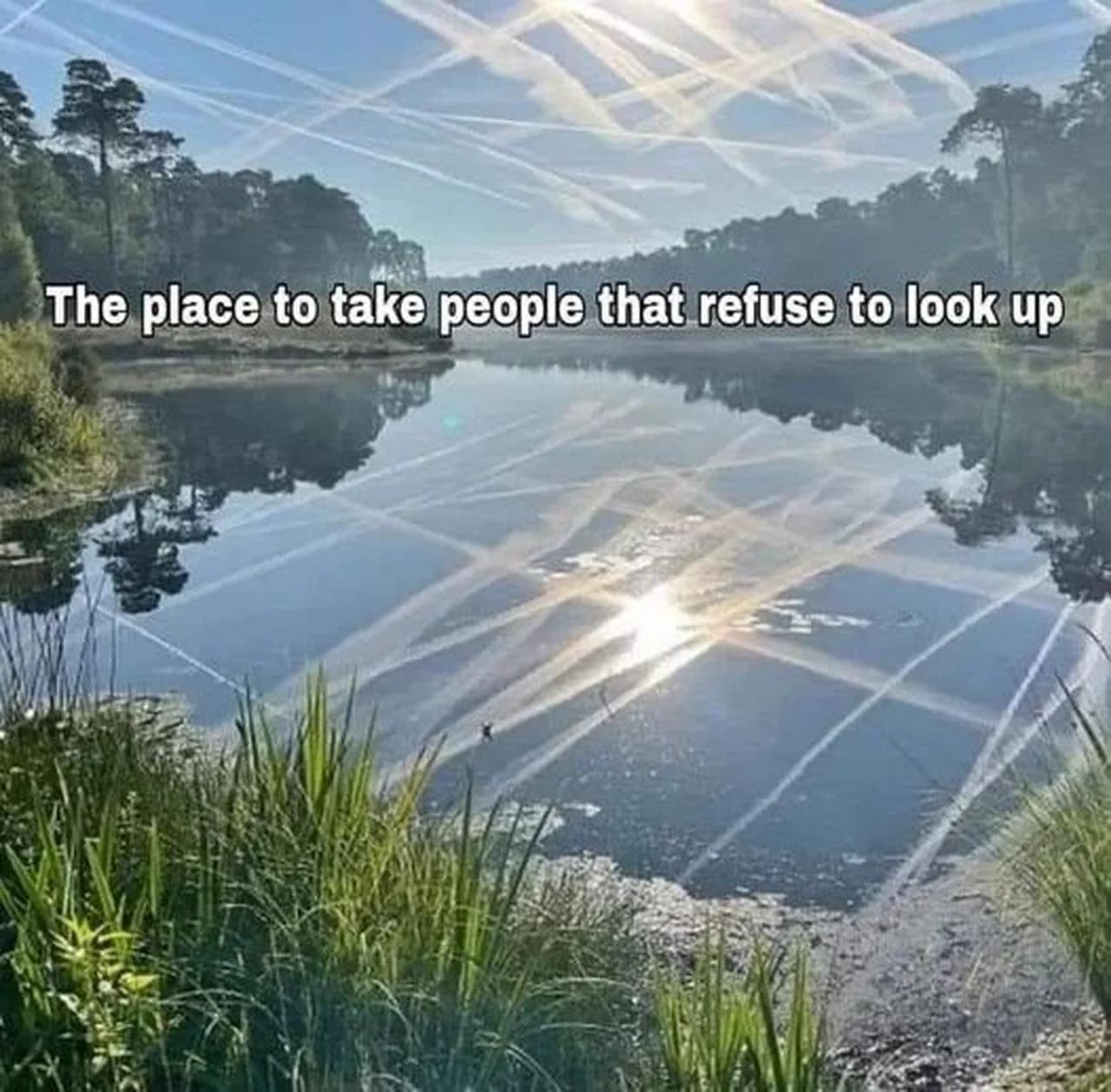 The place to take people that refuse to look up