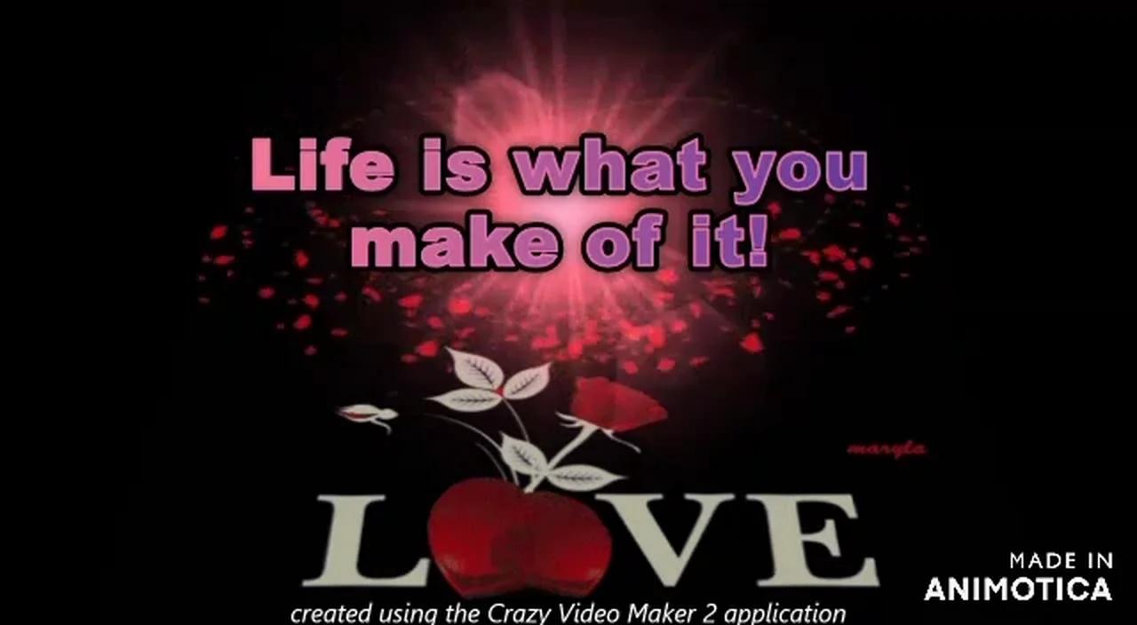 The World Has Gone Insane