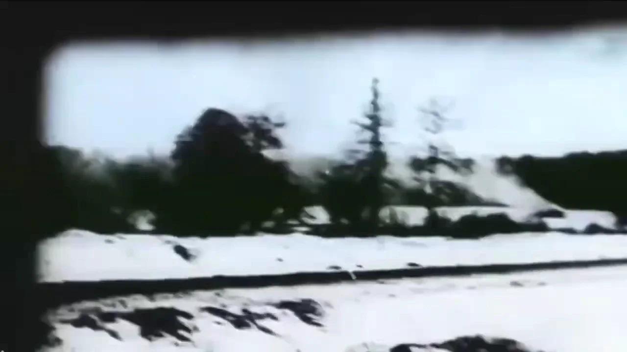 Adolf Hitler s Homeless Years (1907-1913) by Zoomer Historian