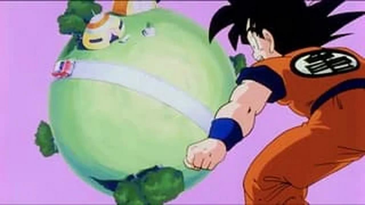 DBZ EP 018 La fin du voyage