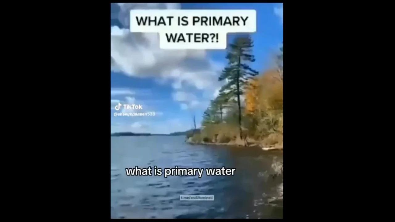 Primary Water