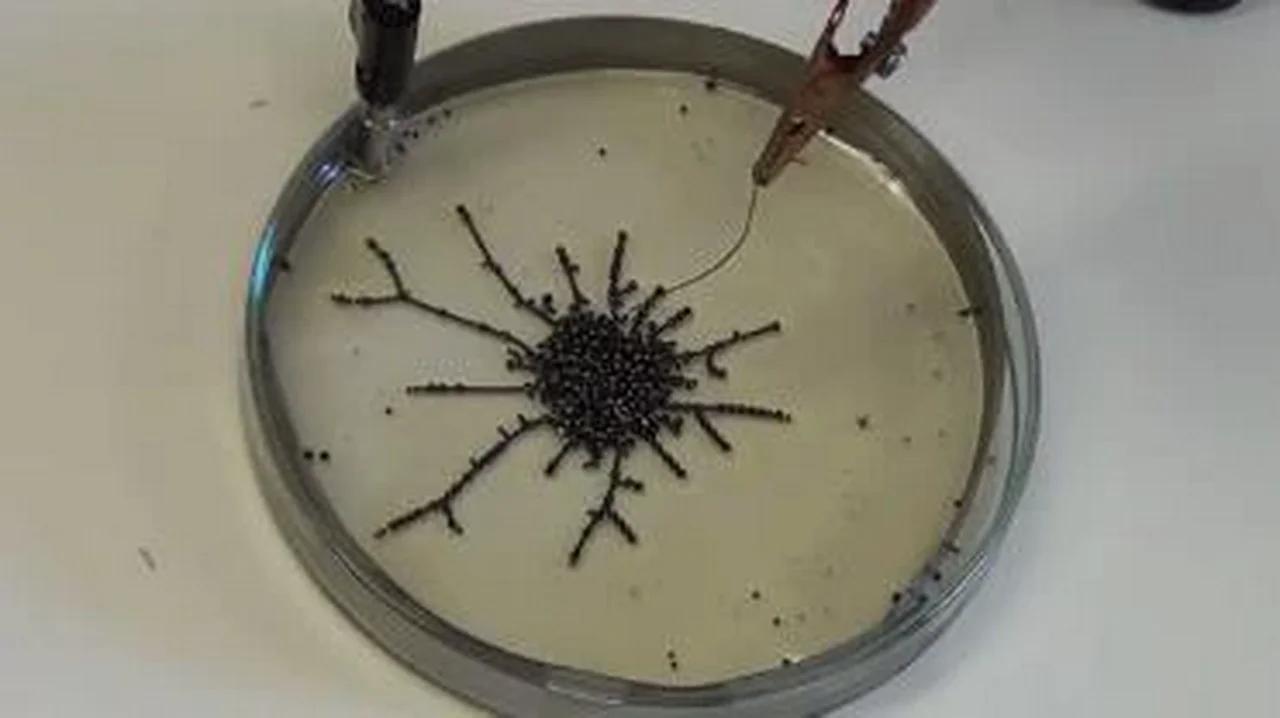 Self-installing wires! Are you vaxxed? 5G?!