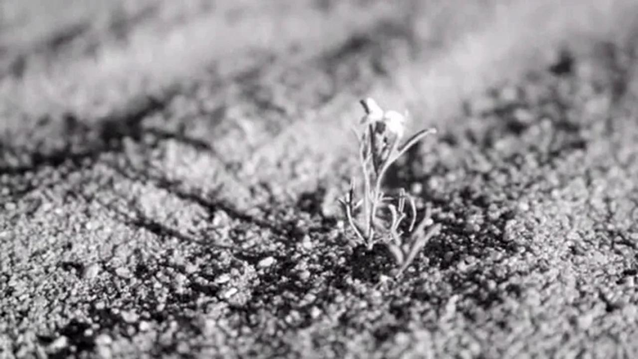 Ten Inch Men “Machine Gun Blues”