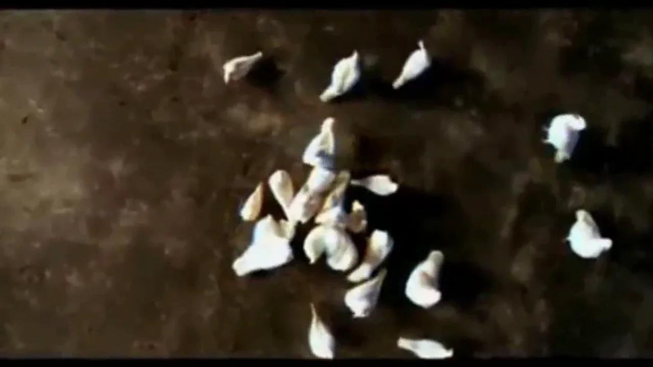 HEBS - Ecstasy (1996, Scotland)