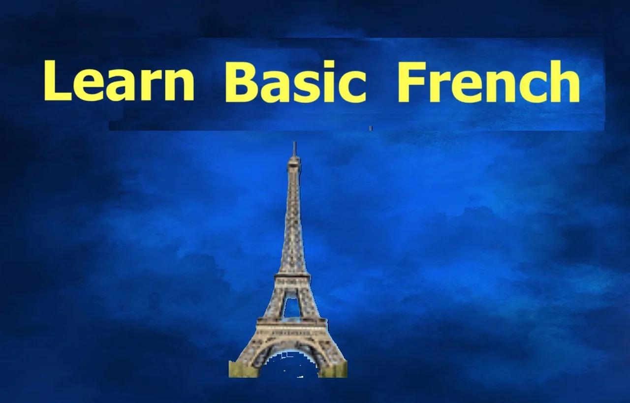 Basic French Conversation