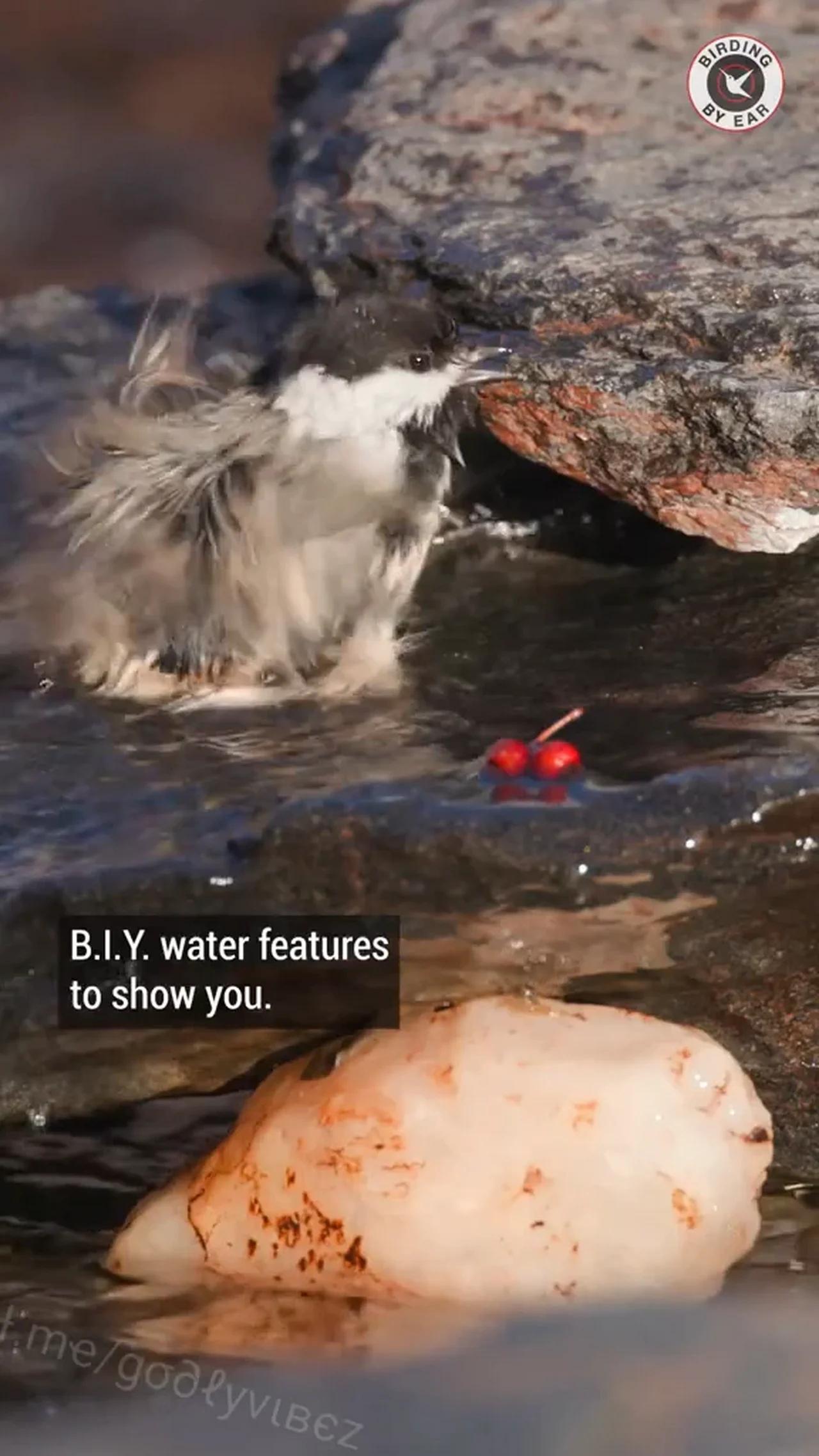 DIY Small Water Feature for your Garden