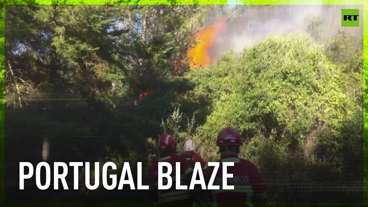 Portuguese firefighters battle forest fires in Cascais