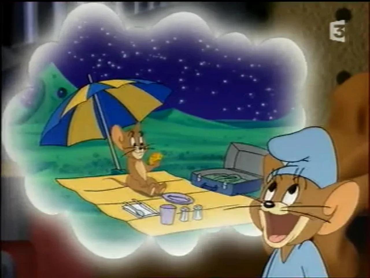 France 3 : 20 août 2007 - 1 coming next - 1 BA - Tom et Jerry Tales ...