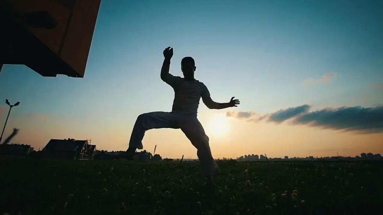 The history of Capoeira