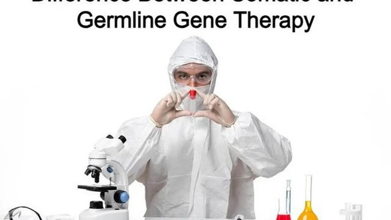 Difference Between Somatic and Germline Gene Therapy ~By~ Decanterbury Difference Between Somatic and Germline Gene Therapy ~By~ Decanterbury
