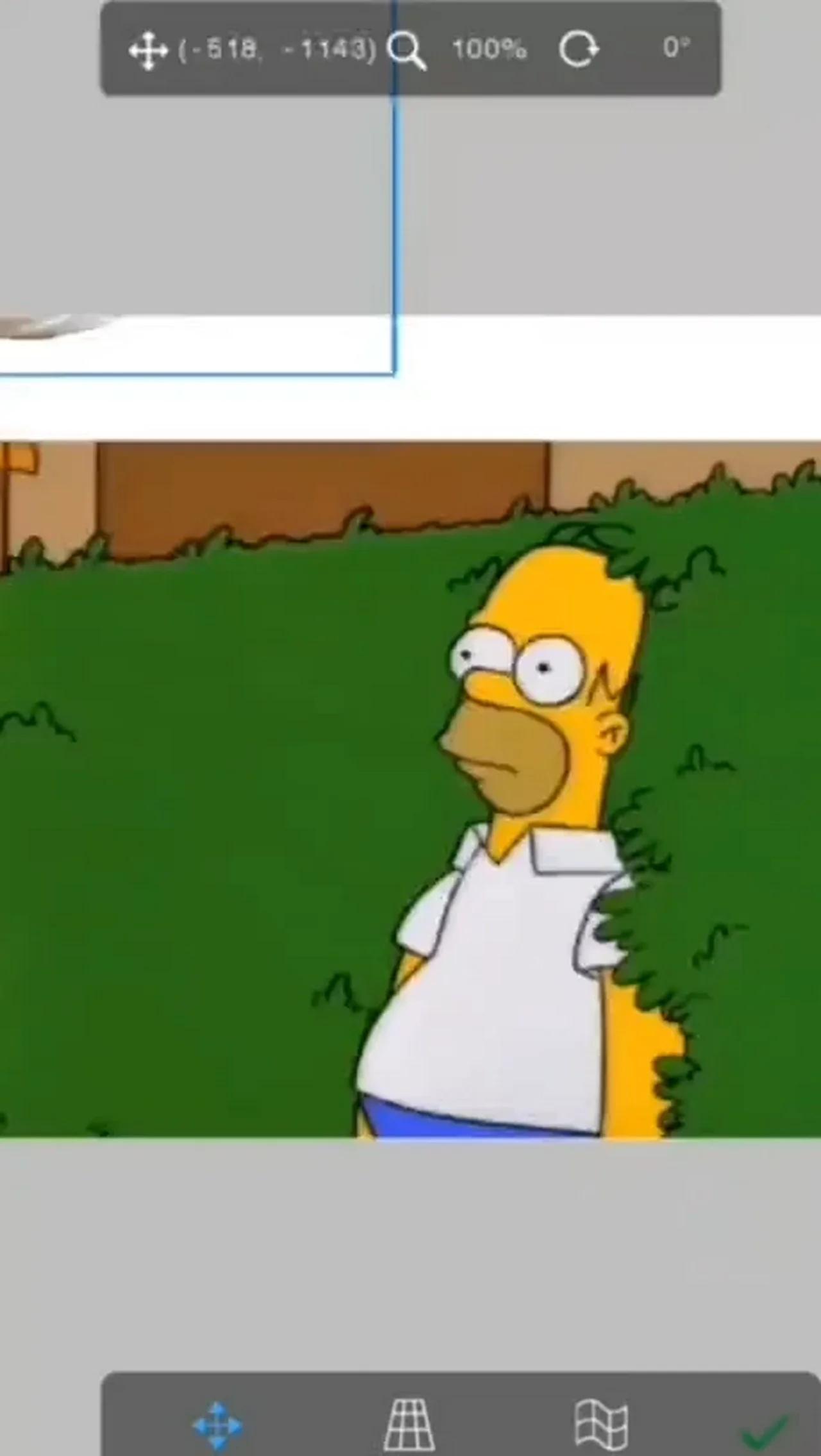 Homer simpsons live action look