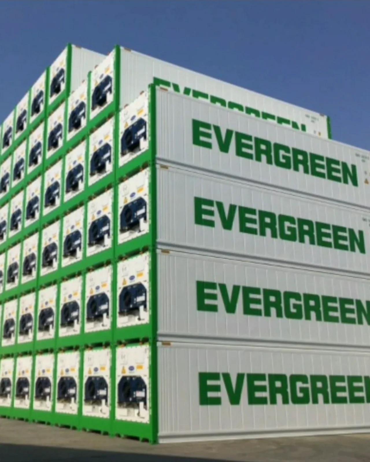 Evergreen рџ рџ ёрџґ