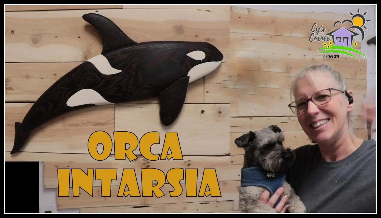 Orca Intarsia