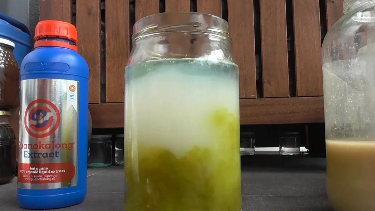 Abono Floracion Espiritu del osque