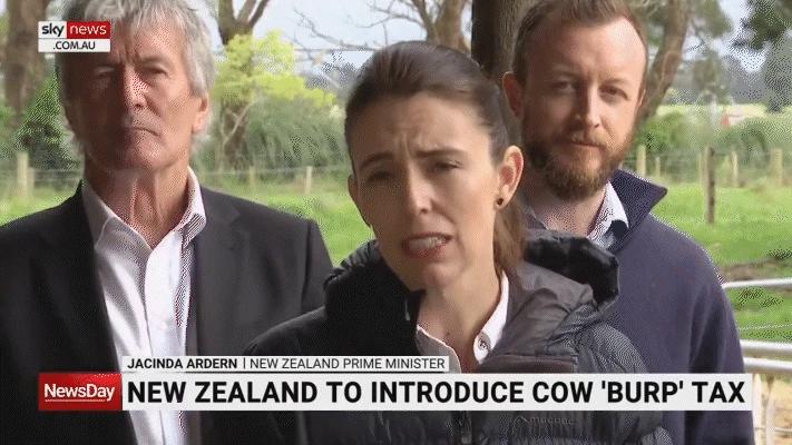 New Zealand To Introduce Cow Burp Tax