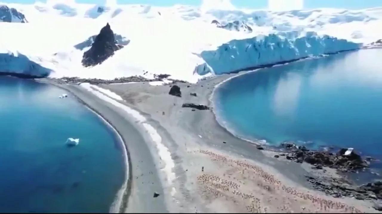 THE HIDDEN HISTORY OF SECRET GERMAN BASES IN ANTARCTICA AND ADMIRAL ...