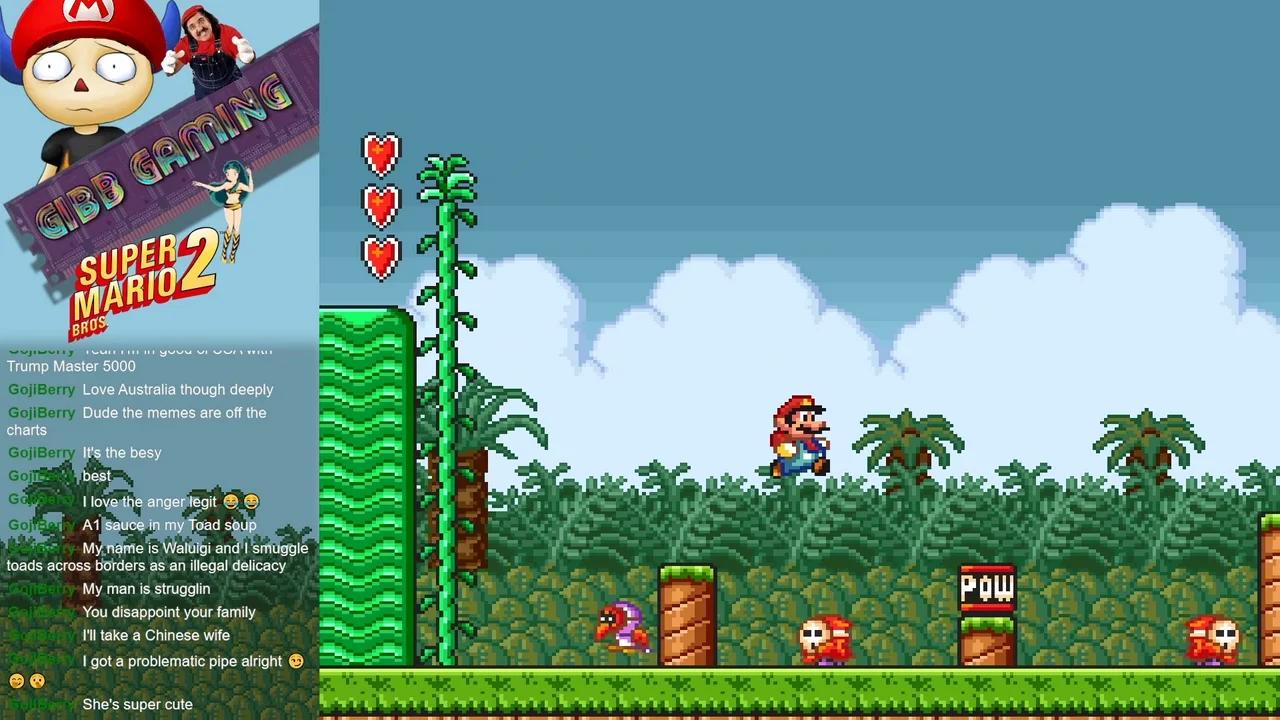 Mario May - Super Mario Bros. 2