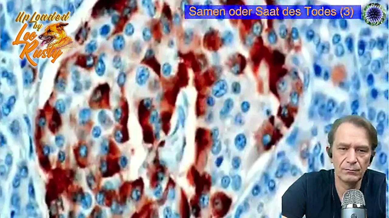 Boschimo - High Noon 22.07.2023 - Saat oder Samen des Todes (3)