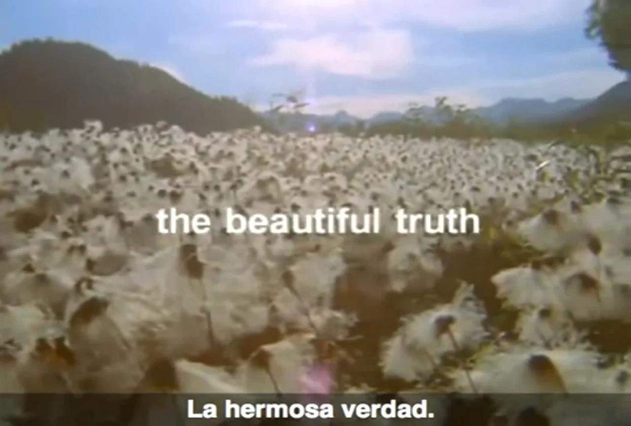 The Beautiful Truth
