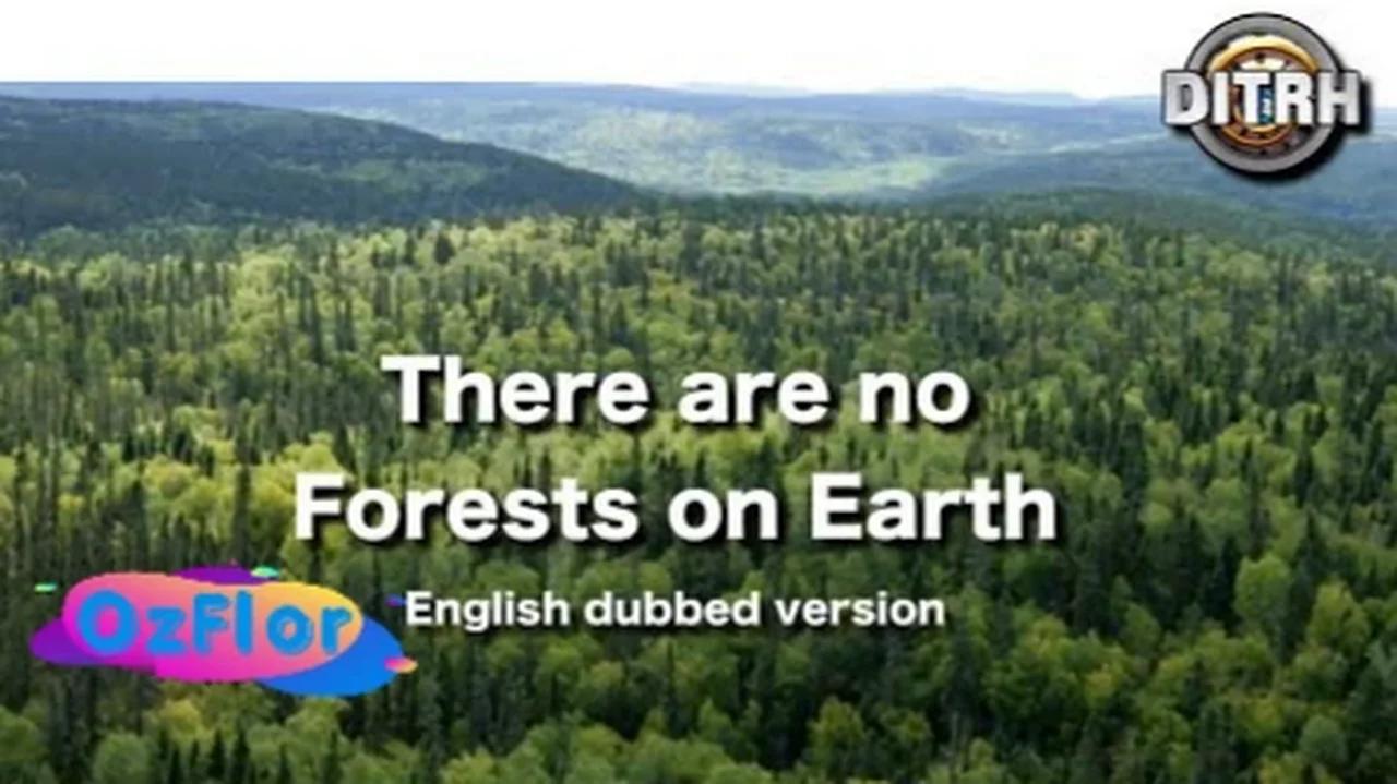There are no forests on Earth!