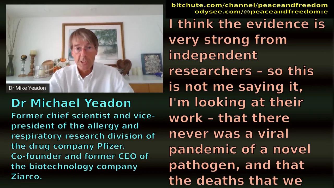 There was no viral pandemic, they lied – Michael Yeadon, former Pfizer ...