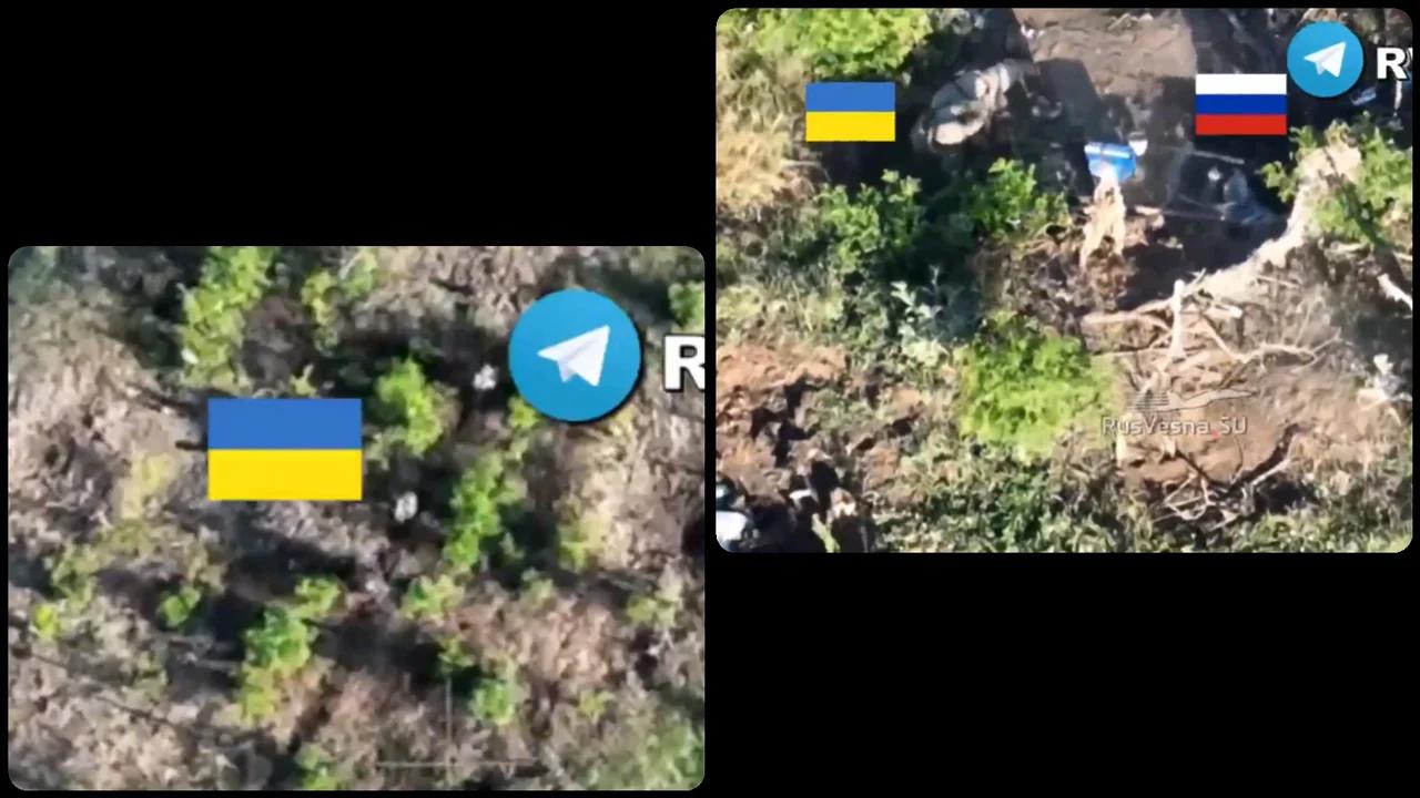 🪖 Group of Kiev's NATO Proxy Force fighters trying to advance east of ...